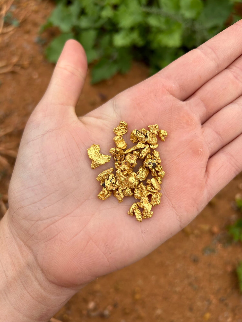 GOLD – The Prospectors Club