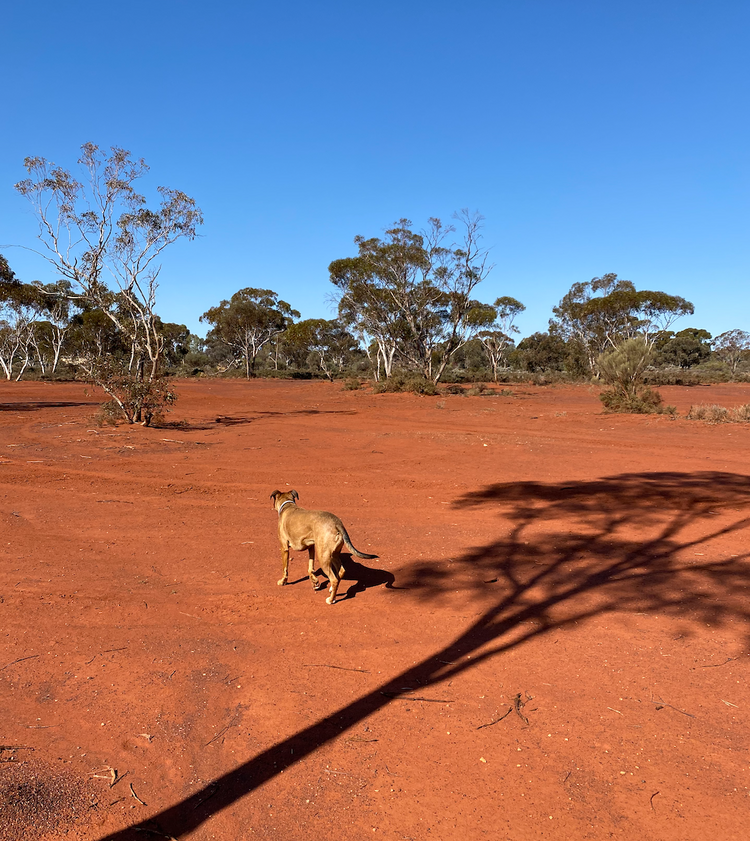 About Us | The Prospectors Club